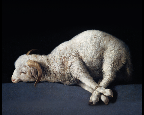 Christ Our Passover Lamb Sovereign Grace Reformed Church